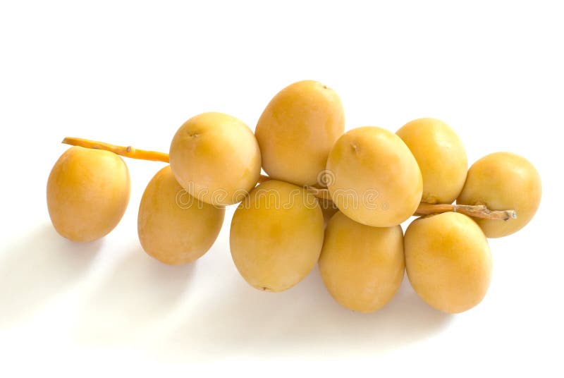 Datte fraîche photo stock. Image du milieux, jaune, tropical - 11285998