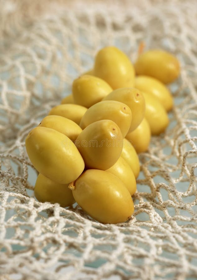 DATTE FRAICHE stock photo. Image of date, indoors, still - 172800842