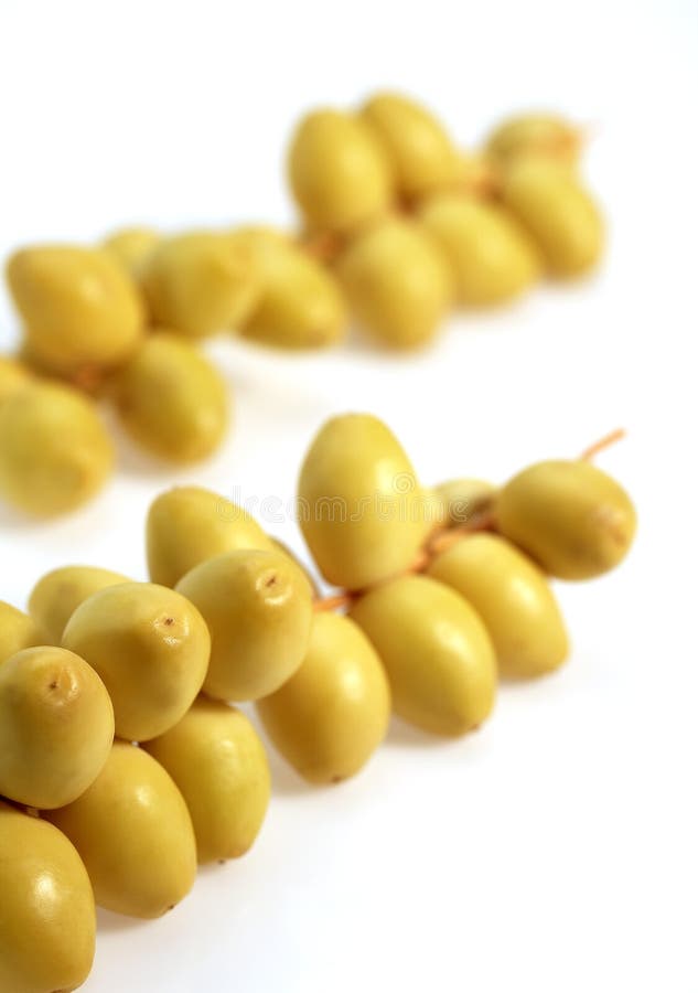 DATTE FRAICHE stock photo. Image of food, phoenix, studio - 172800942