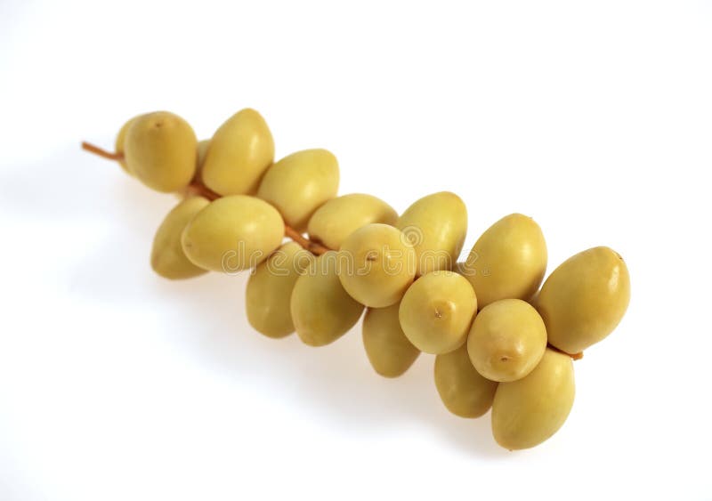 Datte fraiche stock photo. Image of life, phoenix, indoors - 172799968