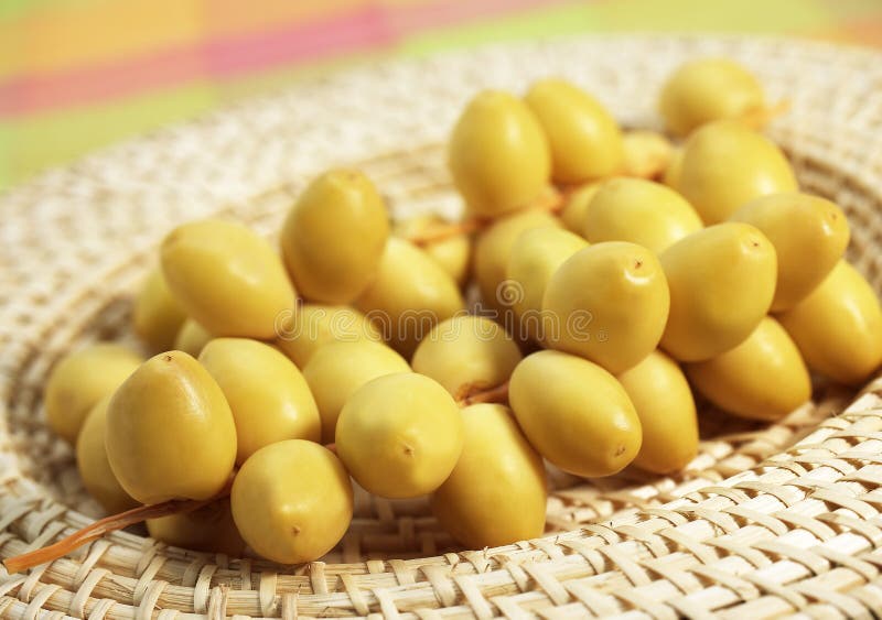 Datte fraiche stock image. Image of phoenix, dactylifera - 172800541