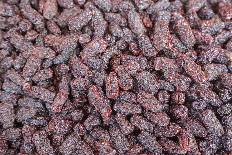 Datte rouge noire image stock. Image du noir, automne - 27560403