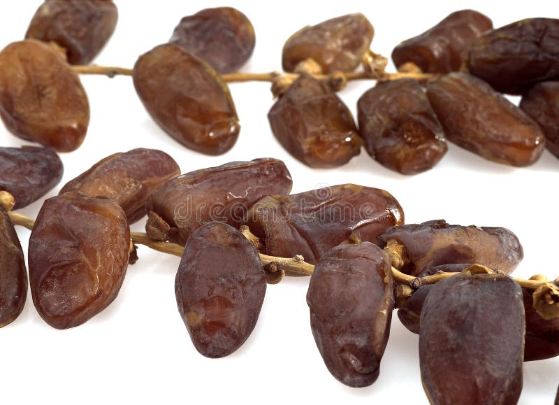 DATTE SECHEE imagem de stock. Imagem de palma, alimento - 170402997