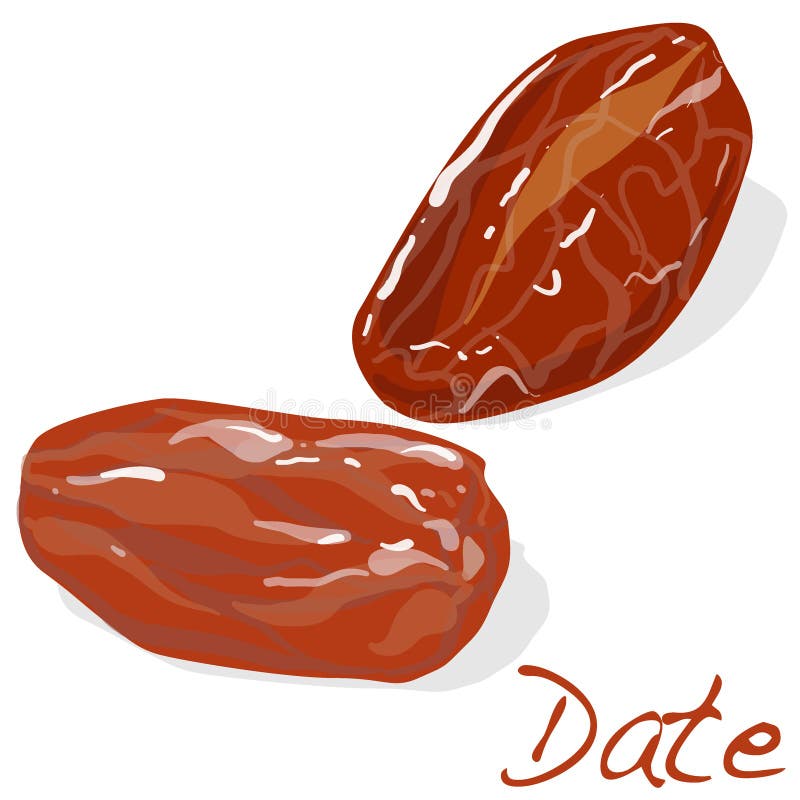 Fruit De Date Sec Illustration De Vecteur Illustration de Vecteur ...