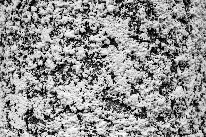 Daub Lime Plaster Seamless Texture. Grunge Concrete Wall. Facade ...