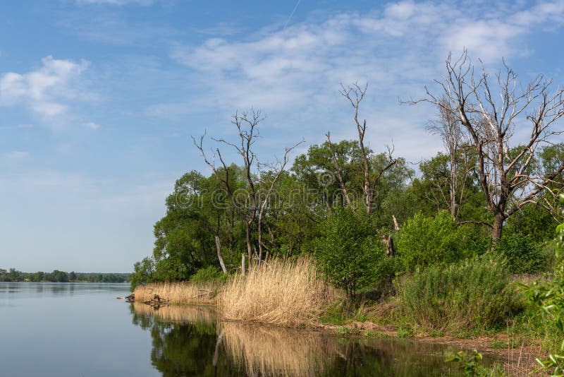 Water of Daugava river. stock photo. Image of nature - 27565156