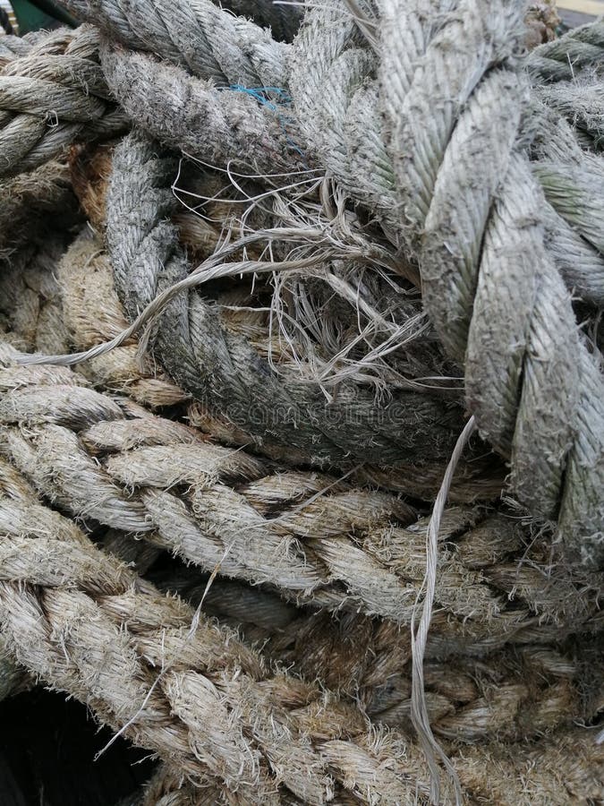 String of rope stock image. Image of knot, background - 136558219