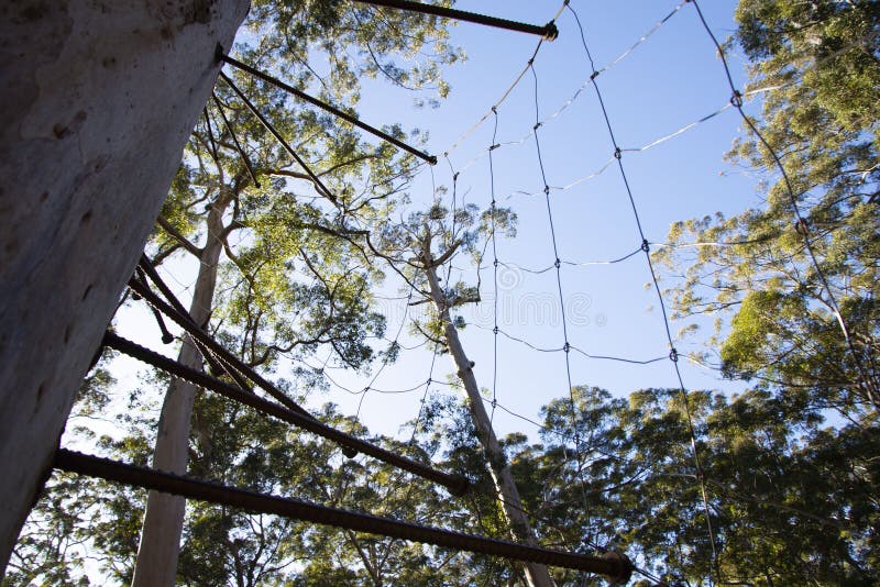 Dave Evans Bicentennial Tree Stock Image - Image of growth, western ...