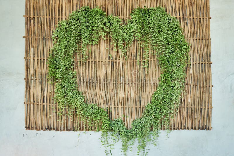 Dave Plant in Heart Shape Hang on Bamboo Board Stock Image - Image of ...