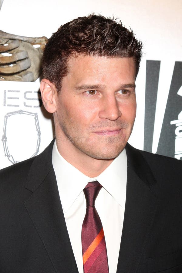 David Boreanaz editorial image. Image of david, arrives - 26911210