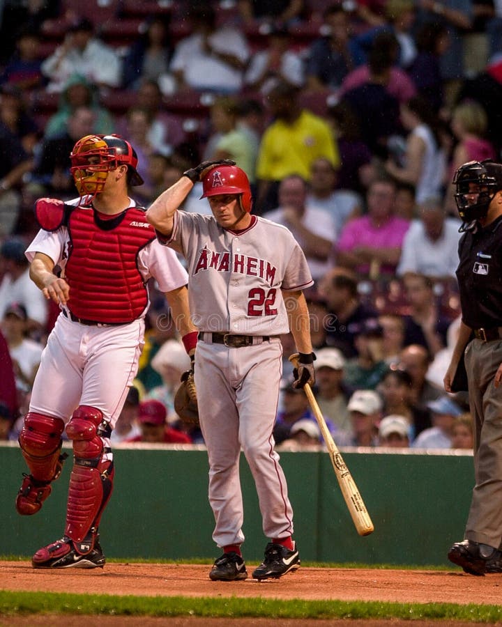 David Eckstein fotografia stock editoriale. Immagine di principale ...