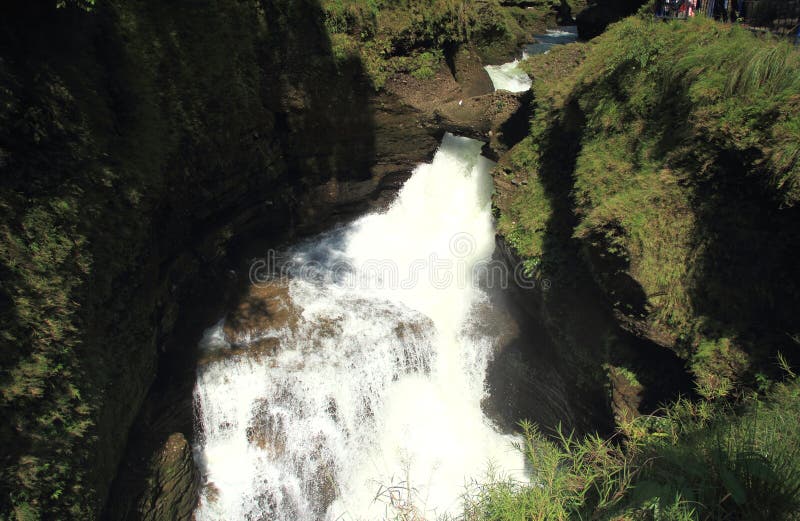 David Falls. stock photo. Image of green, nepal, national - 36574688