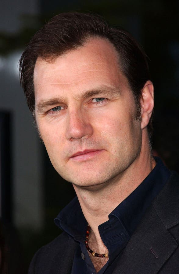 David Morrissey, Morrissey fotografia editorial. Imagem de americano ...