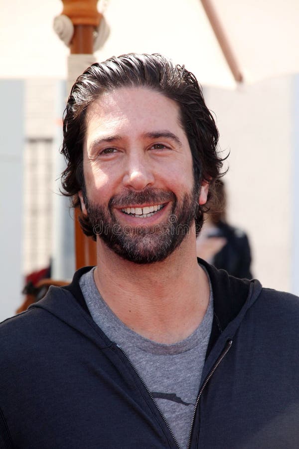David Schwimmer imagen editorial. Imagen de oeste, david - 35518330