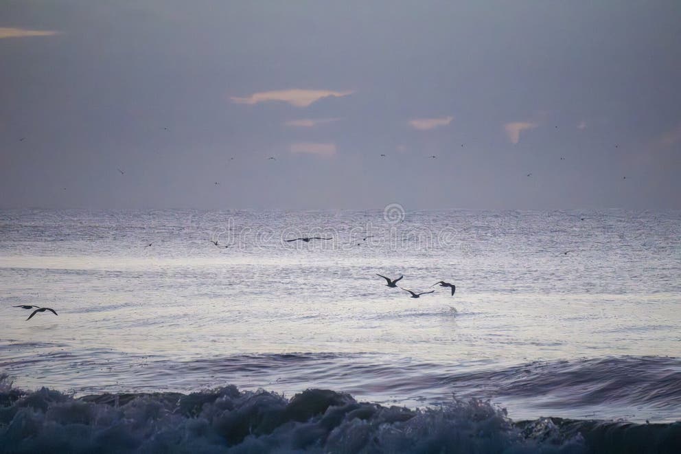 Dawn on the Atlantic stock image. Image of morning, cloud - 344550397