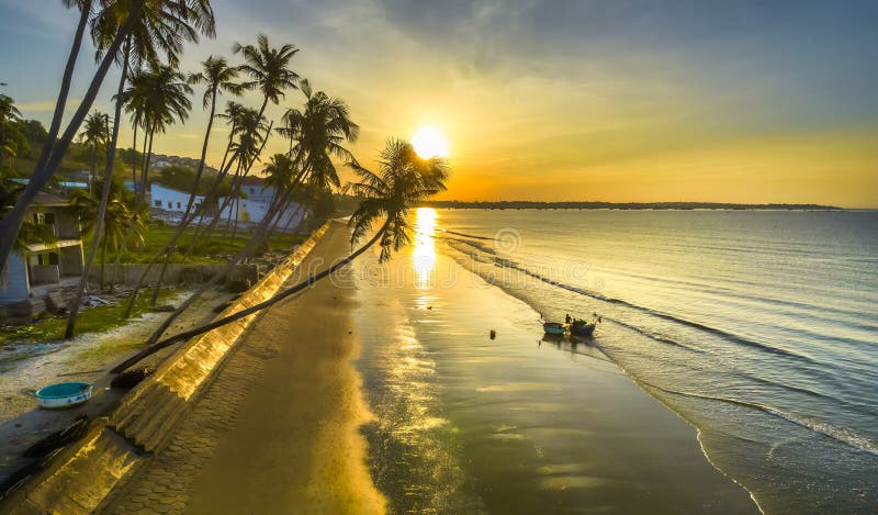 Dawn on the Beach with Tilted Coconut Trees, Long Sandy Beach Stock ...