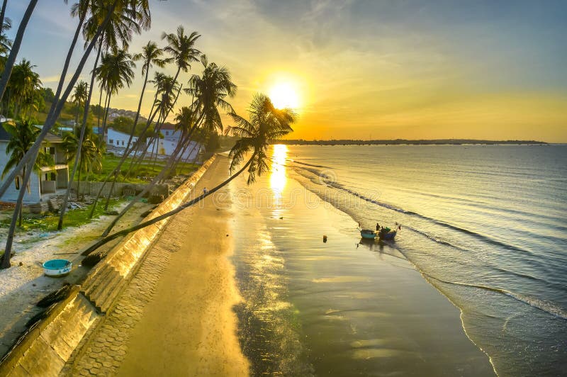 Dawn on the Beach with Tilted Coconut Trees, Long Sandy Beach Editorial ...