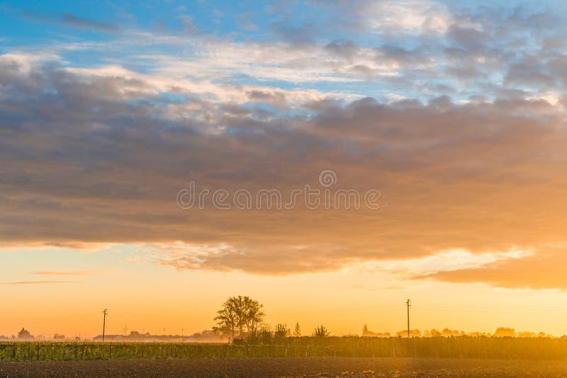Dawn on cultivated fields stock photo. Image of italy - 80416758