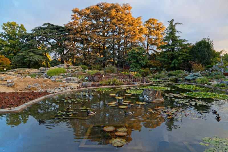 Dawn on the Fall Colors of the Park Stock Image - Image of natural ...