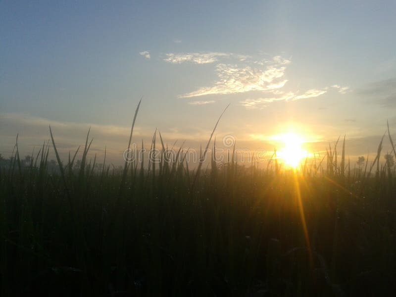 Dawn stock image. Image of newday, dawn, field - 132506411