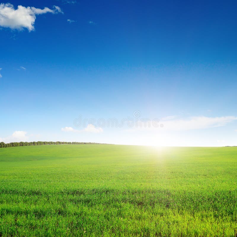 Sunny Day stock photo. Image of field, plain, landscape - 1868032