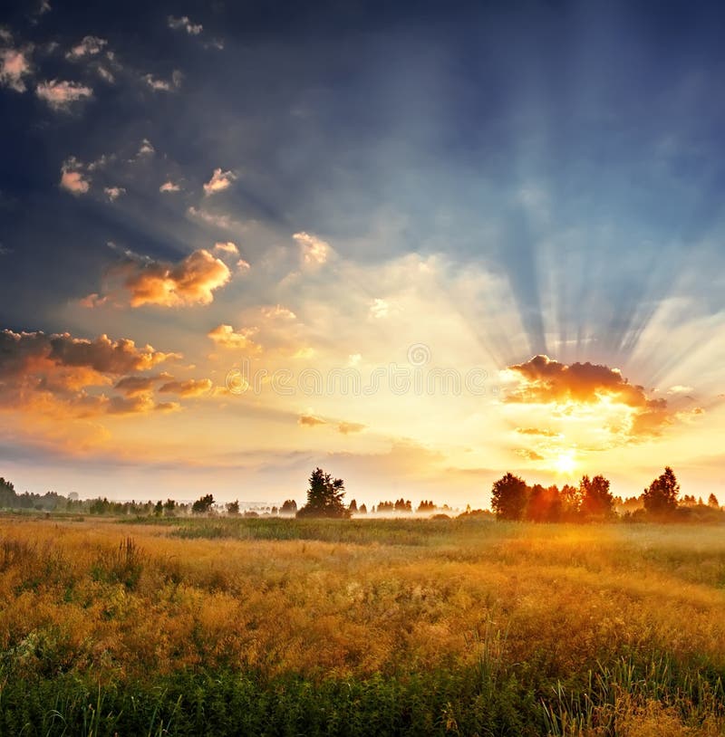 Dawn in a field stock image. Image of season, dawn, halo - 27421905