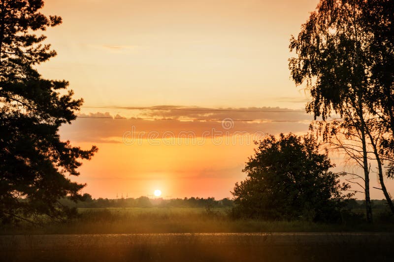Dawn in the Field Along the Road. Arch of Tree Branches Around Stock ...
