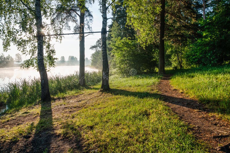 Dawn in the field stock image. Image of road, open, idyllic - 31675759