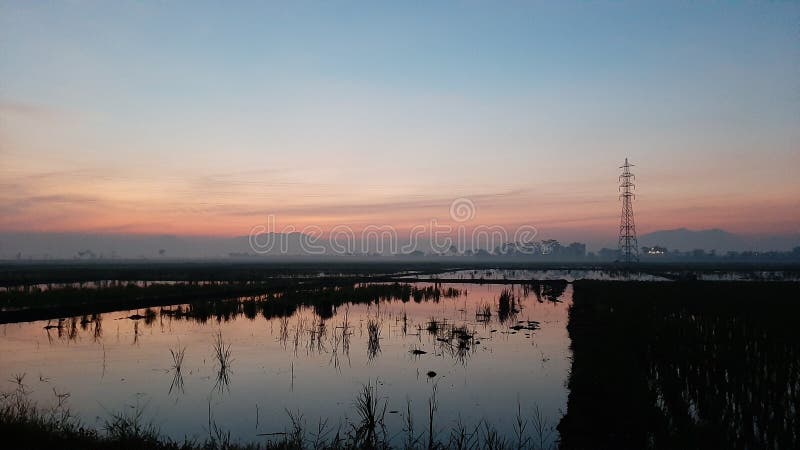 Dawn at the fields stock photo. Image of beauty, fields - 183389736