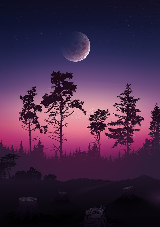 Dawn in the forest. stock vector. Illustration of sunset - 262579691