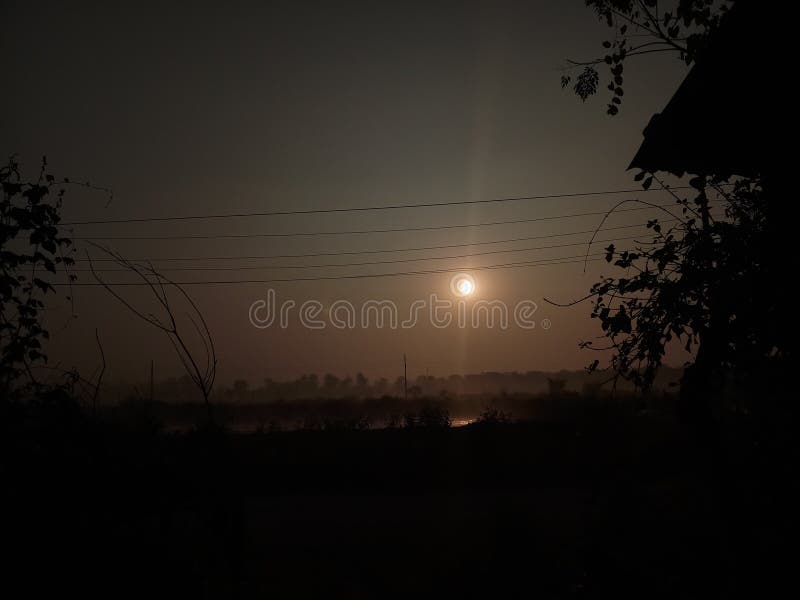Sunset stock photo. Image of greenary, sunset, chitwan - 104965250