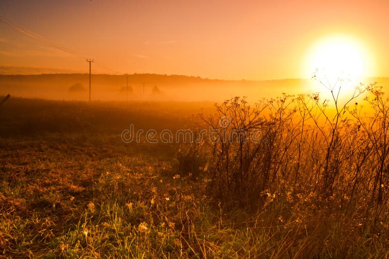Dawn, the Hot Sun Rises Over the Field, Power Line Stock Photo - Image ...