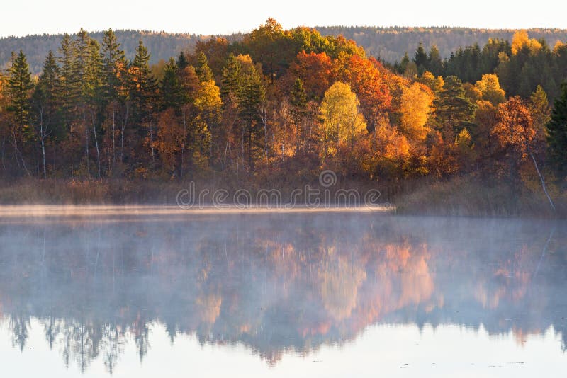 Dawn Mist on the Lake with Forest in Autumn Colors Stock Image - Image ...