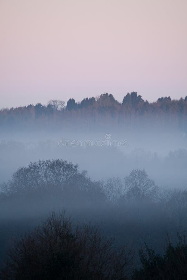 Dawn Mist portrait stock photo. Image of season, venus - 18234334