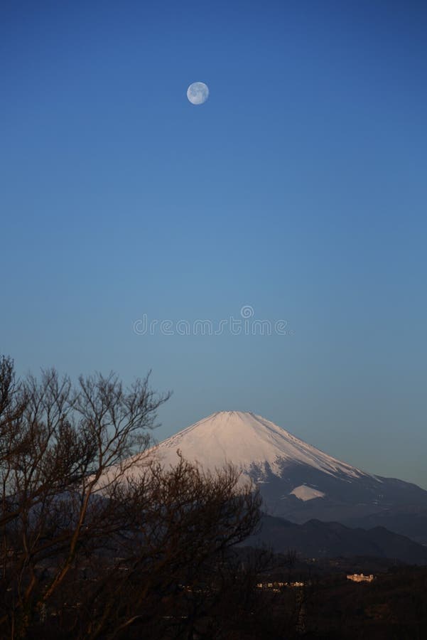 Dawn moon and Mt. Fuji stock image. Image of sunrise - 172412171
