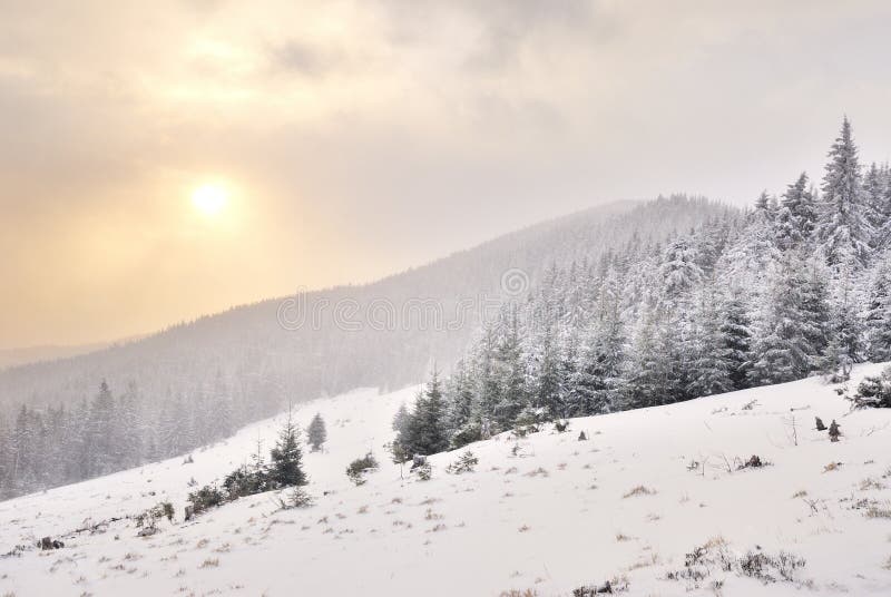 Dawn in mountain on snow stock photo. Image of hoarfrost - 82284584