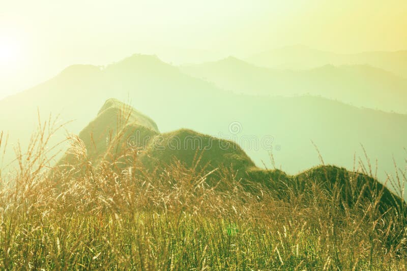 Dawn in Mountains. Grass Field on Hill with Sunlight. Fresh Nature ...