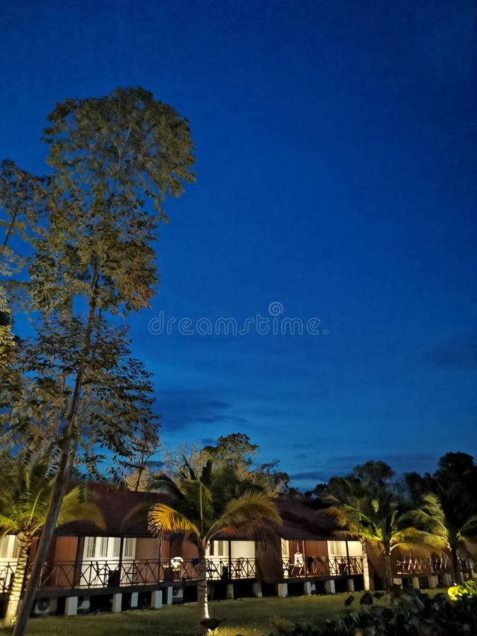 Dawn night with nice view stock photo. Image of nature - 208863198