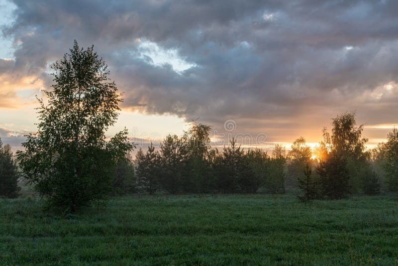 Dawn Over the Meadow and Forest Stock Image - Image of rural, plant ...