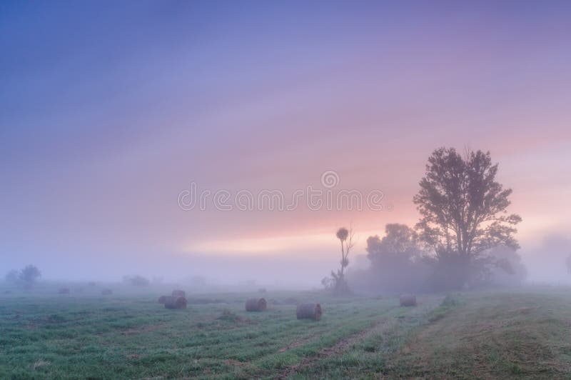 Dawn Over a Misty Meadow with Straw Blocks Stock Photo - Image of misty ...
