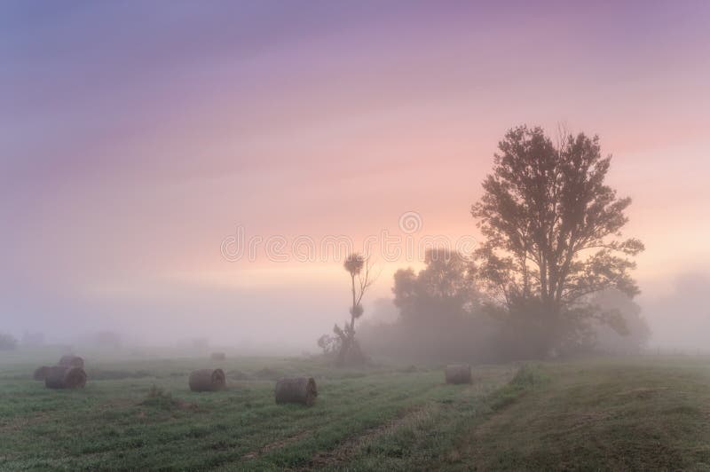 Dawn Over a Misty Meadow with Trees and Straw Blocks Stock Photo ...