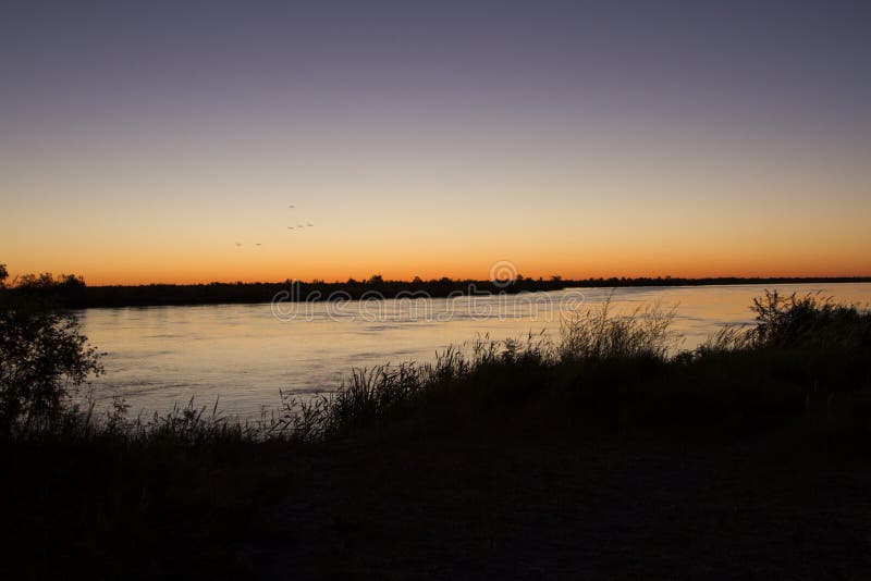 Dawn over the river stock photo. Image of plant, dawn - 58288768