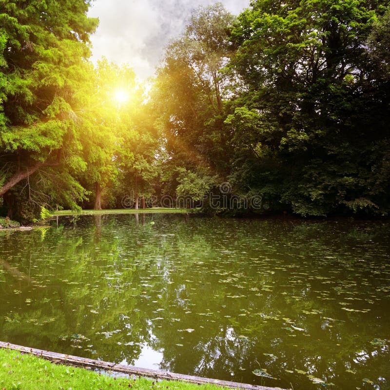 Dawn over small lake stock image. Image of pond, scene - 68815935
