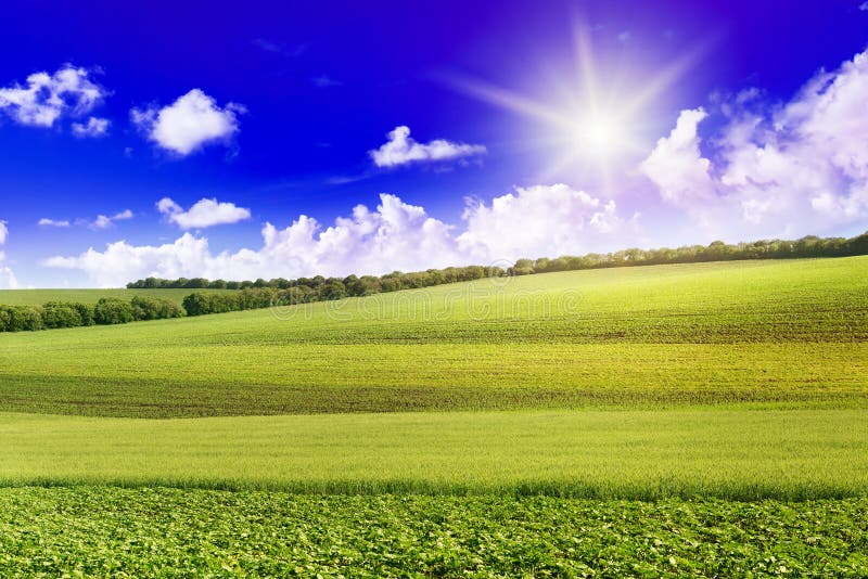 Dawn over the spring field stock image. Image of light - 183268719