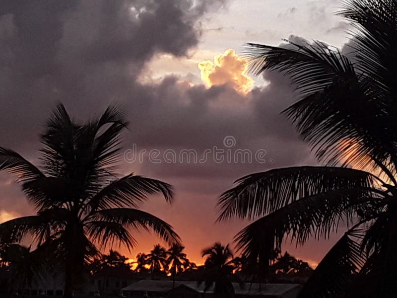 Dawn Red Cloud Palm Trees Purple Cloud Golden Cloud Stock Image - Image ...