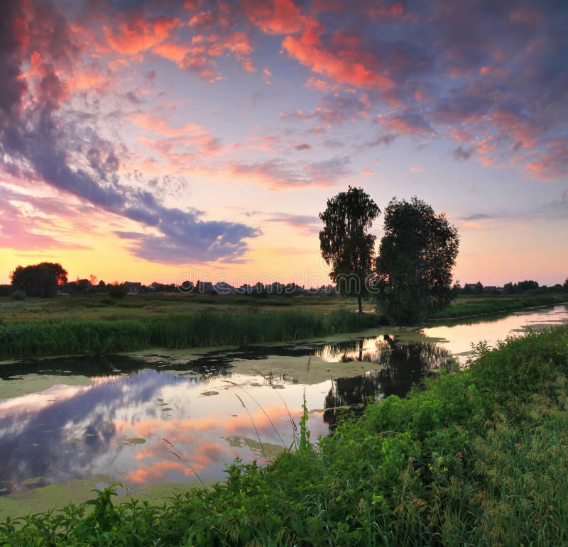 Dawn on the river stock photo. Image of cane, forest - 23091958
