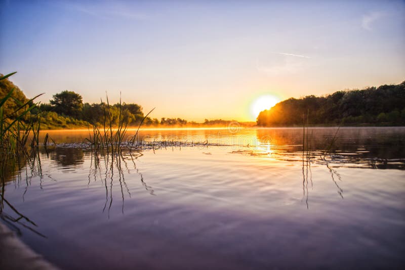 Dawn on the River, the Reflection of the Sun in the Water. Beautiful ...