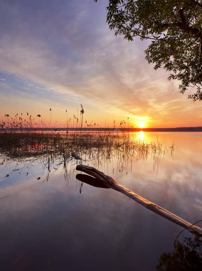 Dawn on the river stock photo. Image of dawn, bright - 84055734