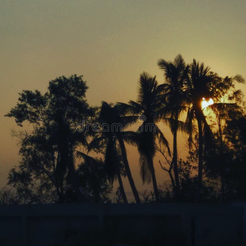 The dawn sets down stock image. Image of trees, sets - 146443271