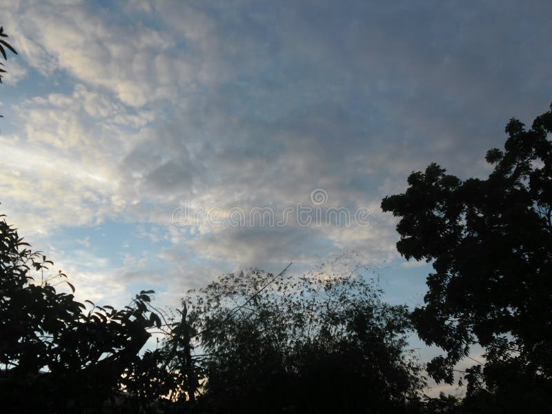 Dawn Sky stock photo. Image of dawn, view, tree, colibangbang - 137731192